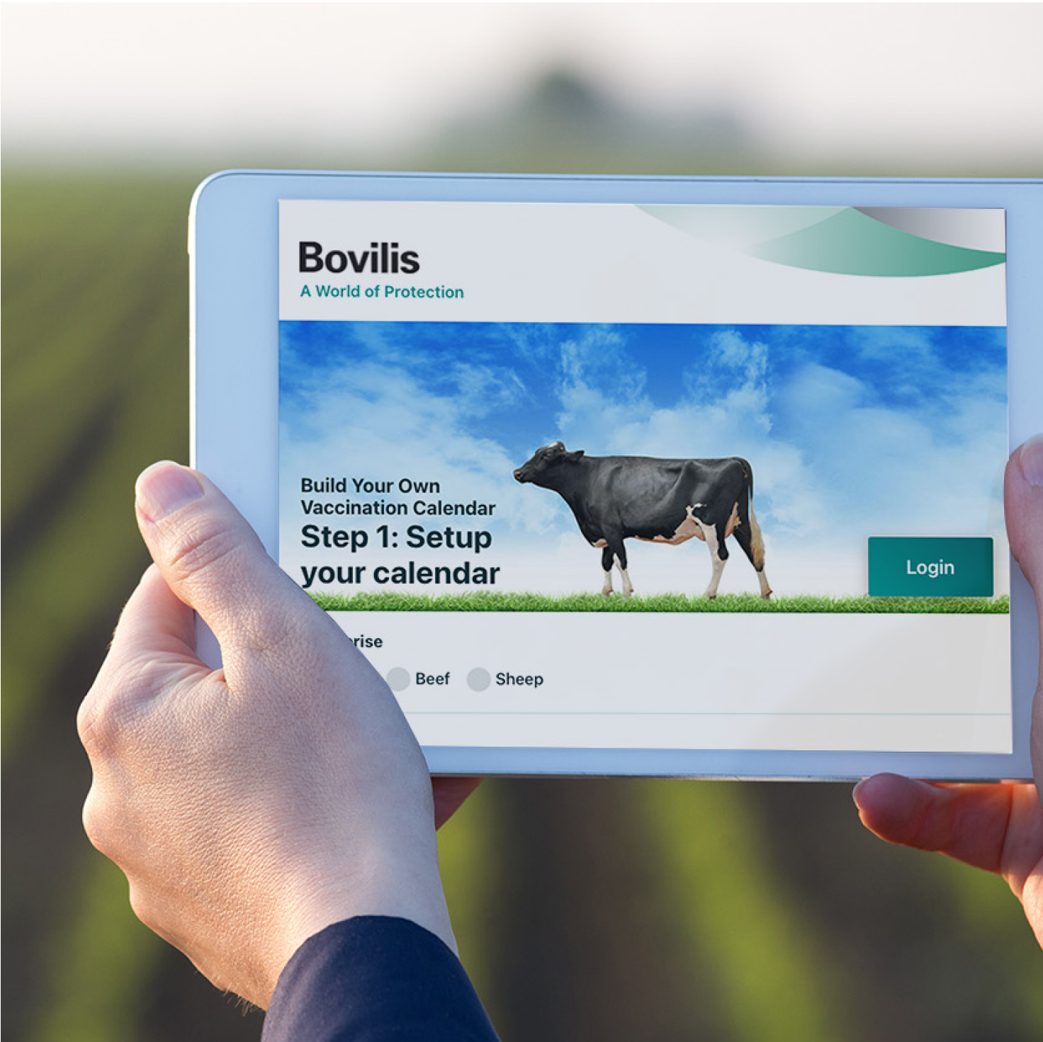 Homepage - Bovilis vaccine range