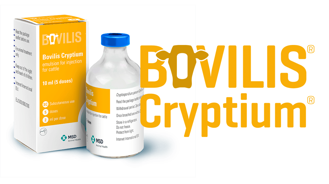 Bovilis Cryptium - bovilis-ie
