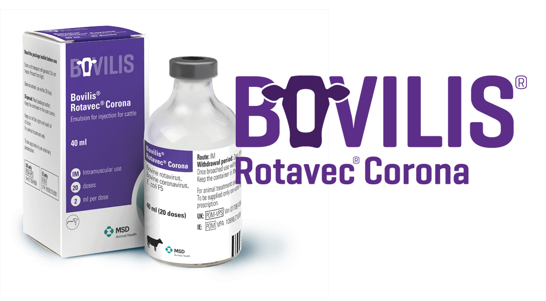 Bovilis Cryptium - bovilis-ie