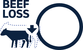 Bovilis Cryptium - bovilis-ie