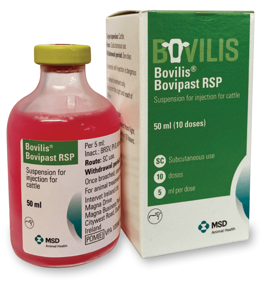 Bovilis Bovipast RSP