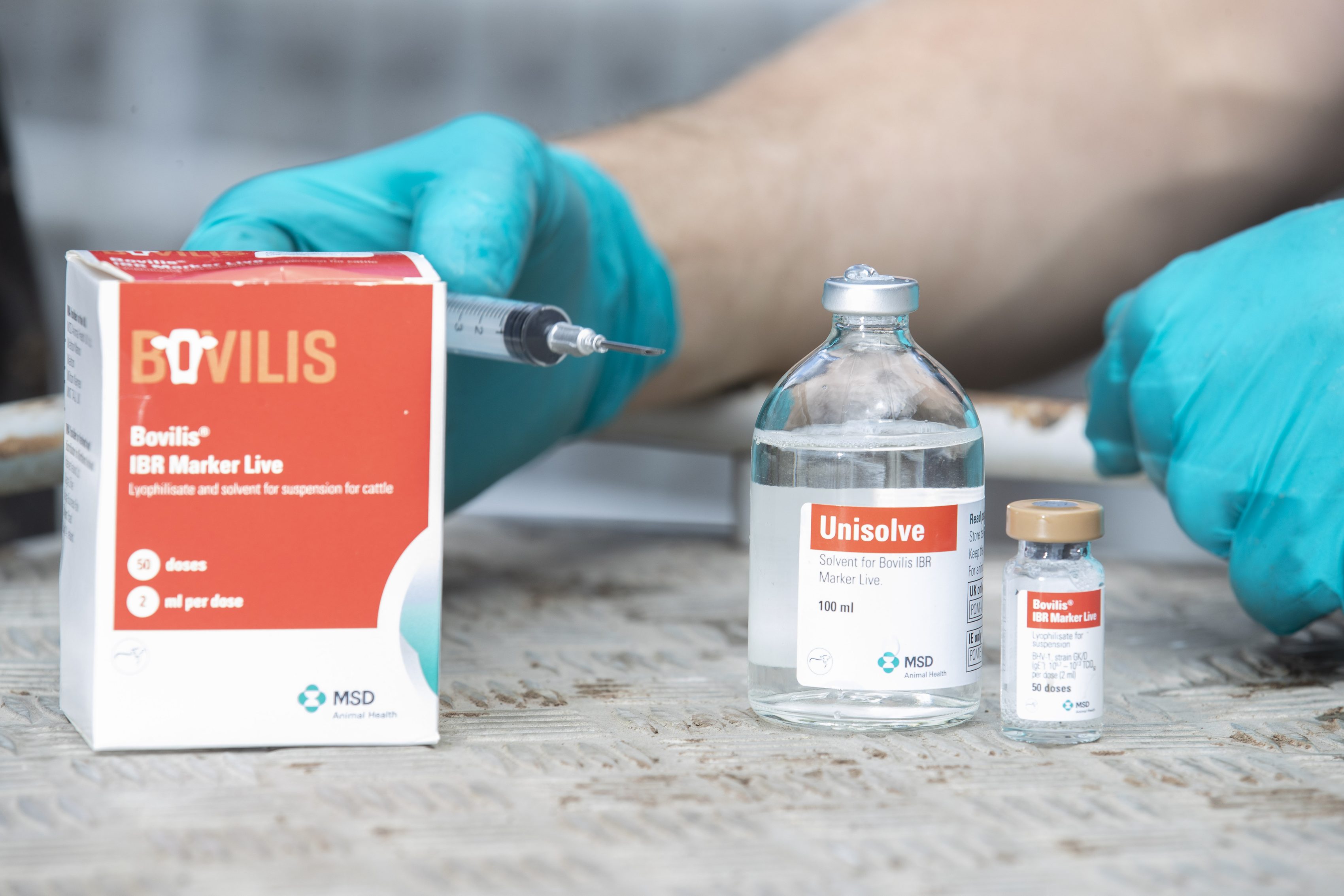 Bovilis Bovipast RSP