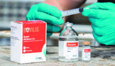 Bovilis IBR Marker Live and Bovilis IBR inactive - bovilis-ie