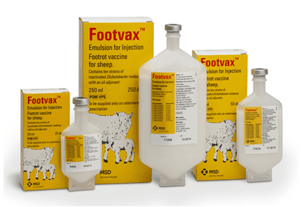 Footvax - bovilis-ie